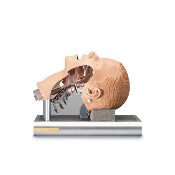 Ambu Intubation Trainer for Sale | LivCor