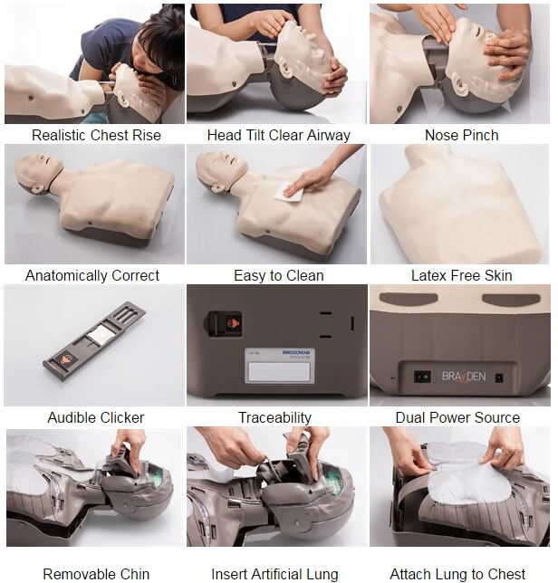 LivCor First in First Aid Ed. | RTO 3586 | APL & Australian First Aid ...