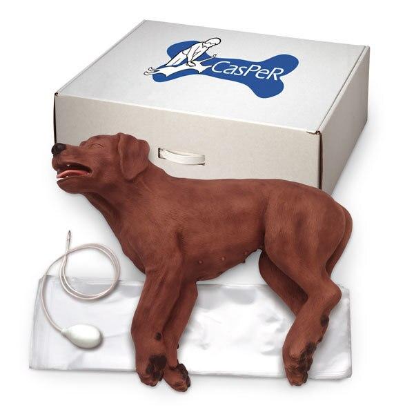 Casper the CPR Dog for Training & Education | LivCor