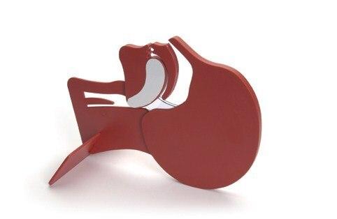Anatomical Head Section Model for Education | LivCor